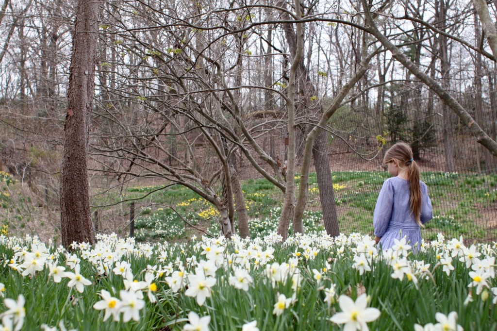 Reeves Reed Arboretum | Magnesium Blue