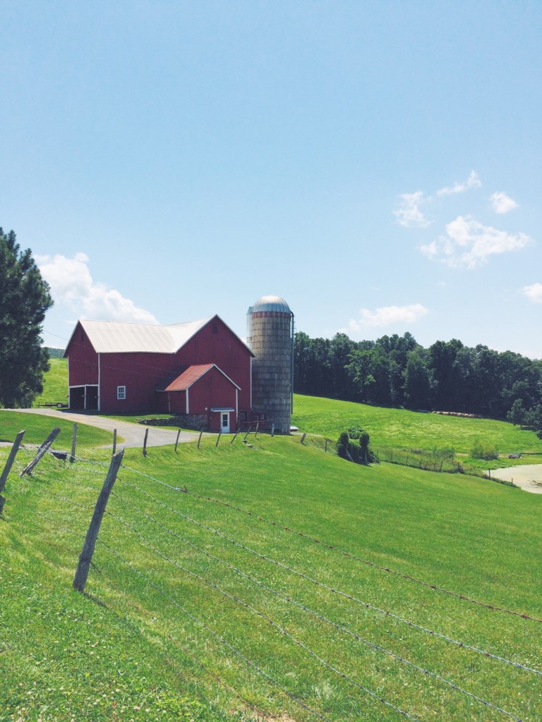 NJ & NY Border Great Day Out | Magnesium Blue