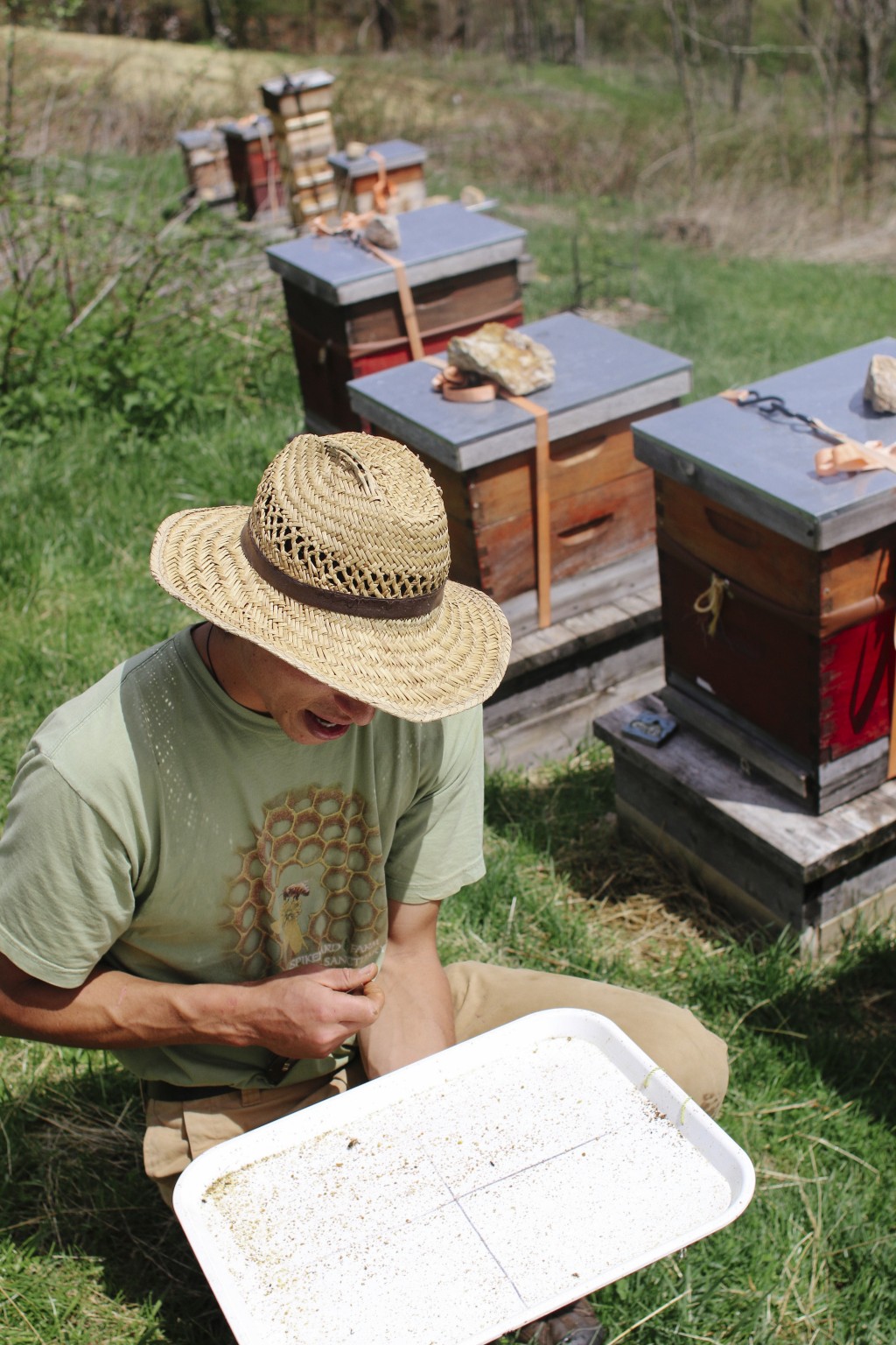Spikenard Farm Honeybee Sanctuary | Magnesium Blue