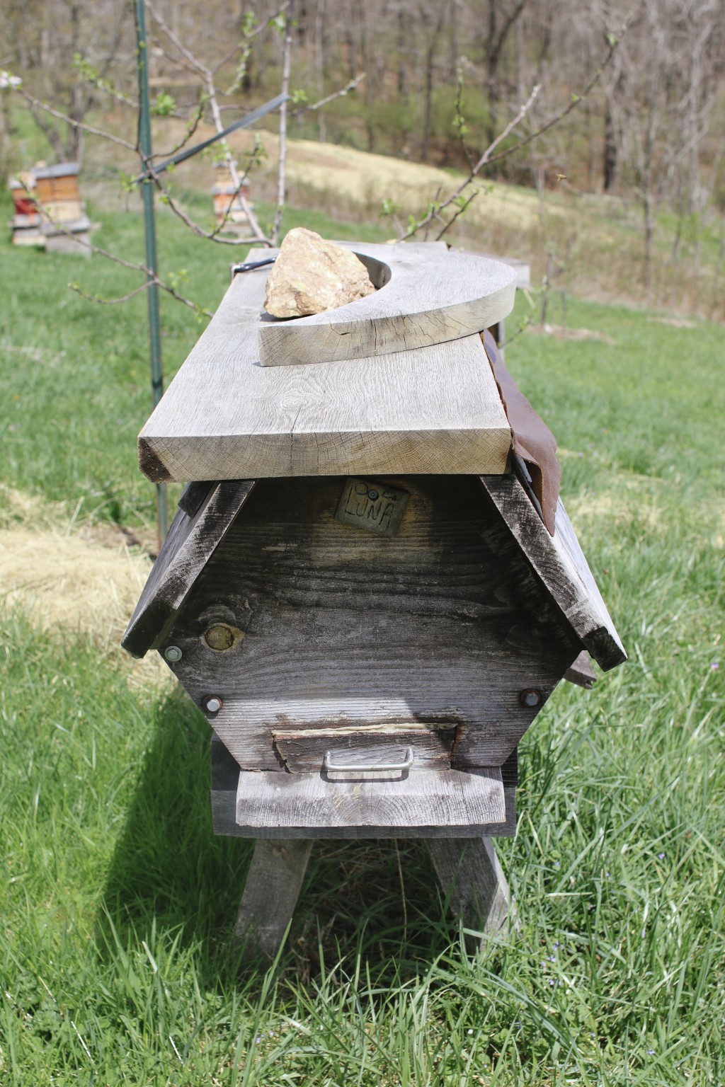 Spikenard Farm Honeybee Sanctuary | Magnesium Blue