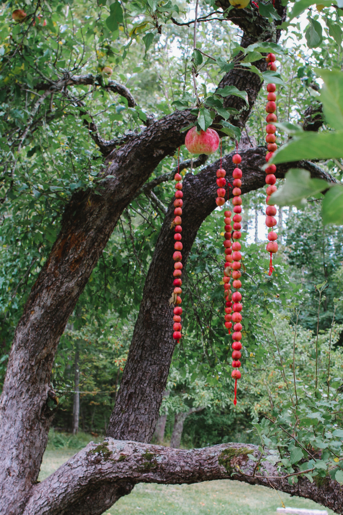 Saturday Photos Part 1 | Magnesium Blue