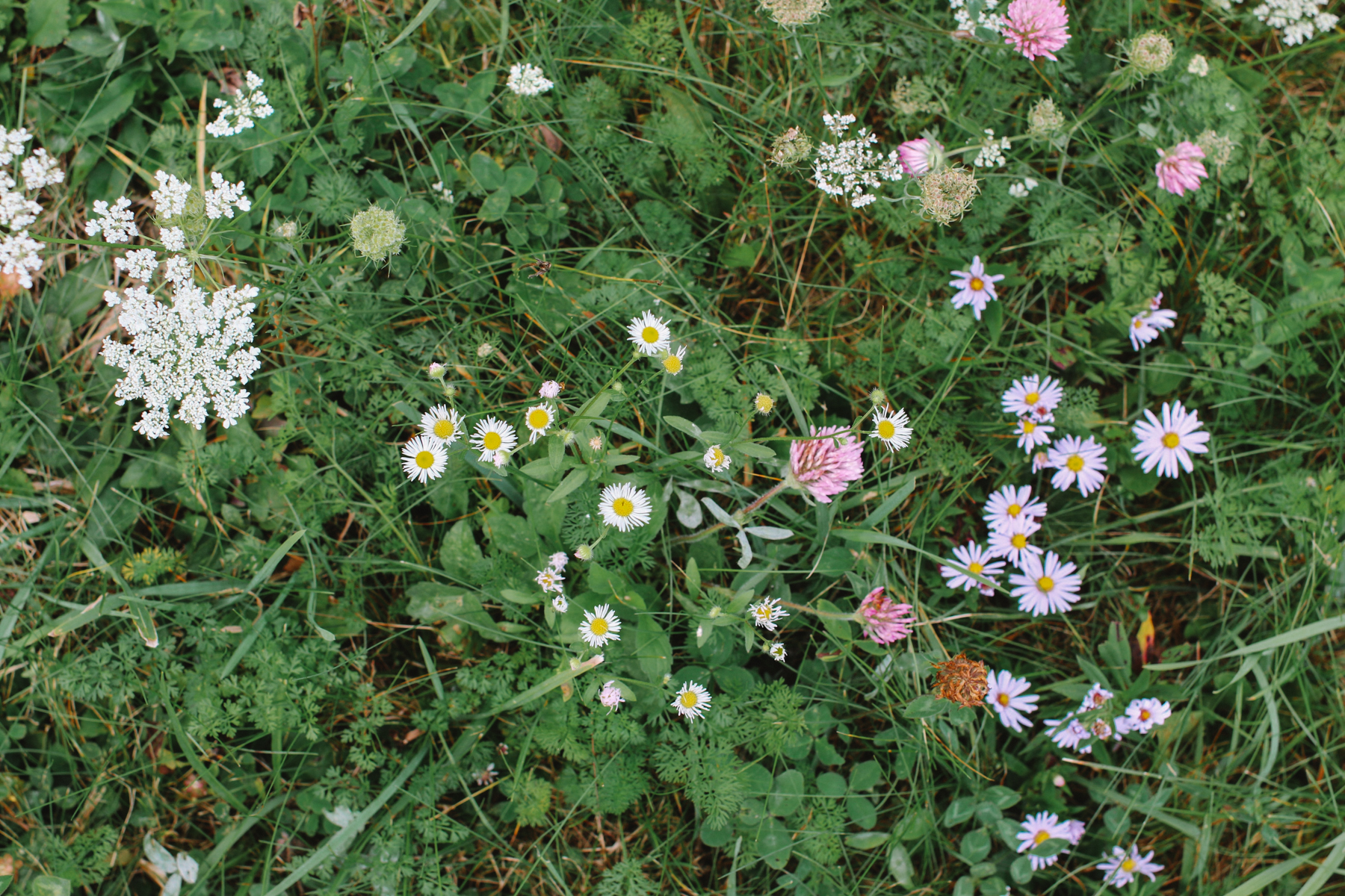 Saturday Photos Part 1 | Magnesium Blue